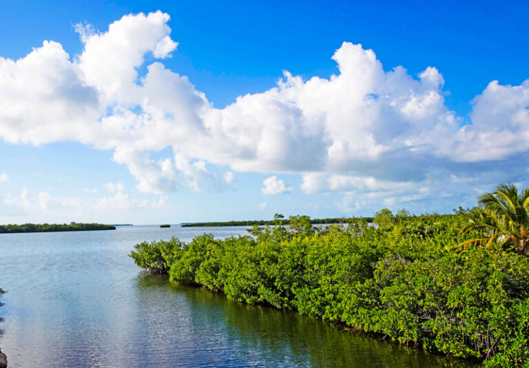 Florida Keys Realty, Inc